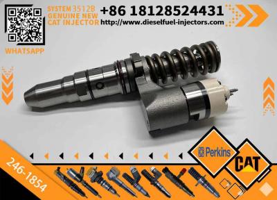 China Master-Crafted Fuel Injector Parts OEM 245-8272 246-1854 250-1311 250-1302 250-1304 for Cate-rpillar Engine OE-Level Kits for sale