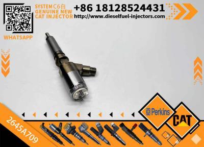 China New Condition C6 Engine Diesel Fuel Injector 320-0690 320-0680 2645A709 295-9130 382-0480 Injector Parts for Excavator for sale