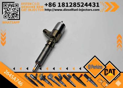 China Excavator Injector 2645A737 2645A738 2645A746 for C4 C6 Diesel Engine Parts Nozzle Assembly for sale
