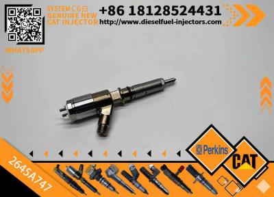 China Excavator Injector 2645A718 2645A734 2645A747 for C4 C6 Diesel Engine Parts Nozzle Assembly for sale