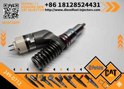 China Construction Machinery Parts C11 C13 Engine Fuel Injector Assembly 249-0712 for sale