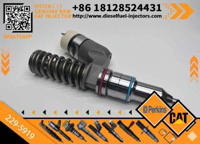 China New Injector 229-5919 for Diesel Engine Common Rail Injection Valve High Quality Supply 2295919 for sale