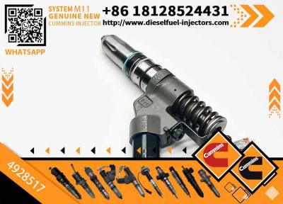 China DSGENUINE PT Fuel Systems on Non Certified Marine 11 Liter M11 Diesel Engne Fuel Injector 4928517 for sale