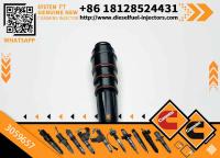 China High Quality diesel Engine PT Fuel Injector Assemble KTA19-M 3022197 for Sale for sale