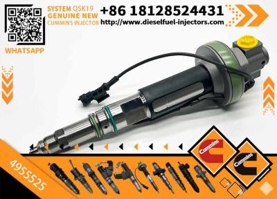 China High Quality Common Rail Fuel Injector Fuel Injector for CUM -MS QSK19 QSK38 QSK50 4955525 F00BL0J017 4955525PX 4955525 for sale
