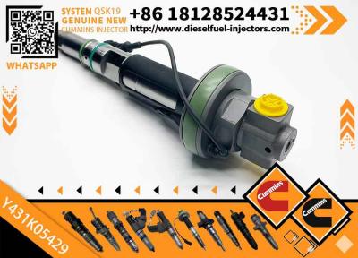 China New Construction Machinery Fuel Injector for QSK19 Diesel Compatible Y431K05429 Y431KO5205 Y431K05420 for CUM-MINS Diesel Engine for sale