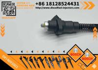 China New Diesel Common Rail Fuel Injector Compatible with 0414693001 0414693003 0414693005 04289983 02113694 Model 02113694 for sale