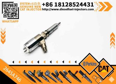 China New Common Rail Injector 321-3600 2645A753 320-0677 2645A746 320-0690 2645A749 for diesel Engine CAT for sale
