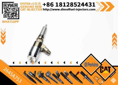 China New Common Rail Injector 321-3600 2645A753 320-0677 2645A746 320-0690 2645A749 for diesel Engine CAT for sale