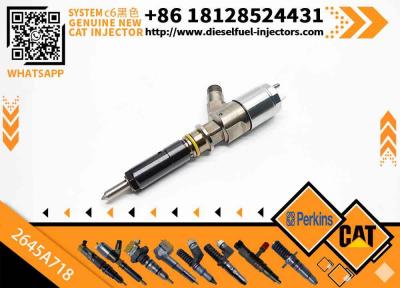 China New Common Rail Injector 382-0480 2645A718 282-0490 10R-7673 292-3780 10R-7676 for diesel Engine CAT for sale