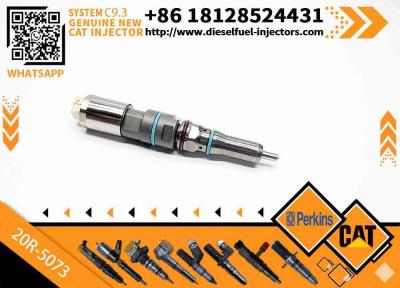 China Rail Fuel Injector 20R-5036 20R-5077 20R-5079 20R-5075 20R-5073 456-3493 460-8213 456-3544 for sale