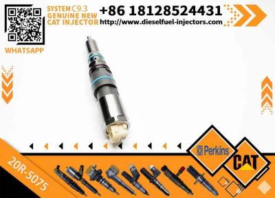 China Genuine Original Common Rail Fuel Injector 456-3509 20R-5075 456-3589 20R-5073 for Engine C9.3 for sale