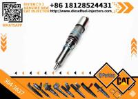 China Engine Fuel Injector Common Rail Injector 173-9272 304-3637 232-1173 382-0709 10R-1265 392-9046 for Cat 336E C9.3 for sale