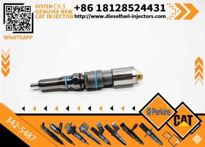China New Common Rail Fuel Injector 304-3637 324-5467 342-5487 382-0709 392-9046 417-3013 for C9.3 for sale