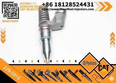 China 3406E C15 Engine Diesel Fuel Injector CA2295919 229-5919 10R-1000 10R1000 for C-aterpillar Truck for sale