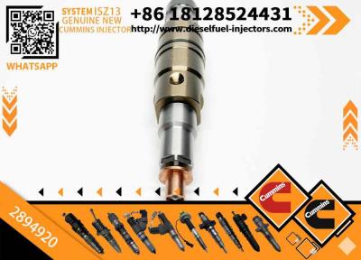China Diesel Engine Parts Common Rail Fuel Injector 2872544 2872405 2894920 4307217 5491721 4326959 for C-ummins Scania XPI Injector for sale