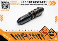 China 4914308 3013725 3018566 3047964 3047985 Premium PT Fuel injector Assembly series for N engine Diesel Fuel injection system for sale