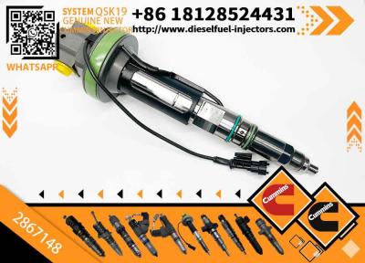 China 2867149 Diesel Fuel Injector for QSK19 Engine 2867147 2867148 2867149 2881087 2881088 2881089 4964170 4964171 4964172 4964173 for sale