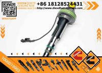 China Genuine Fuel Injector Assembly F00BJ00002 01986435613 0986435902 0986435905 0986435616 F00BJO0008For Qsk19 Engine for sale