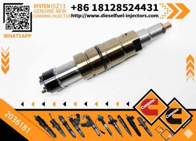 China Common Rail Injector XPI 2057401, 2036181, 2031835, 574423, 1933612, 575176 for Engine DC13115, DC13124, DC13125, DC13147 for sale