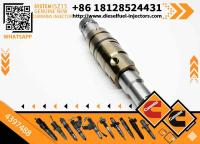 China COMMON FUEL INJECTOR 2036181 4307217 2872056 4326959 2872284 4326989 2872405 4397488 2872544 2894920 2897320 for sale