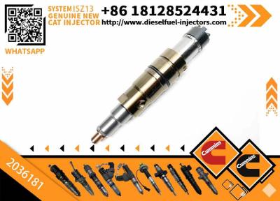 China INJECTOR 2036181 4307217 2872056 4326959 2872284 4326989 2872405 for sale