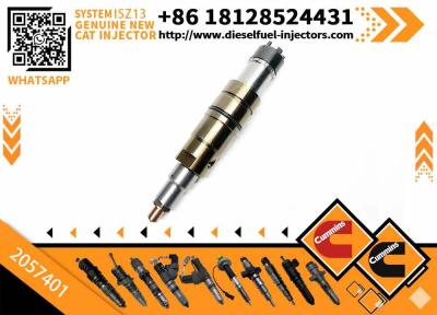 China Rail Fuel Injector 2872405 2419679 1948565 2057401 for for sale