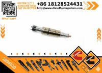 China 208663 Diesel Universal Rail Injector 2894920 2482244 for sale