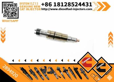 China 208663 Diesel Universal Rail Injector 2894920 2482244 for sale
