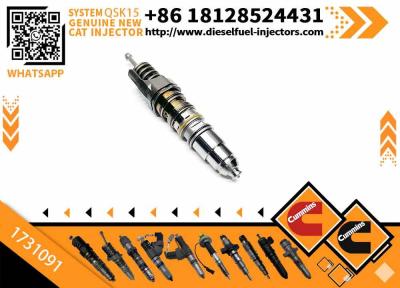 China AUTOJIA High Quality Injector Excavator Engine Injectors 1731091 579253 for sale