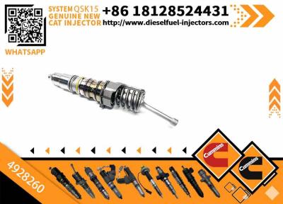 China Fuel Injector 4928260 4062569 4010346 for diesel for sale