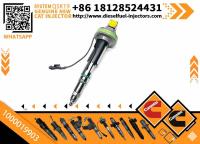 China Diesel Engine Fuel Injector 1000019903 4964172 for for sale