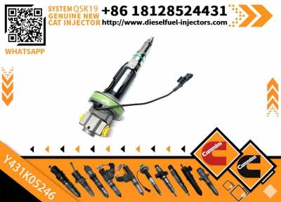 China 0986435612 Y431K05246 Diesel Fuel Injector for for sale