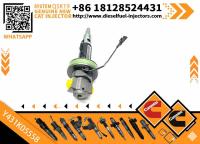 China Rail Fuel Injector 2867148 2882078 Y431K05248 Y431K05558 4964170 2867147 2881088 for for sale