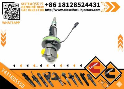 China Rail Fuel Injector 2867148 2882078 Y431K05248 Y431K05558 4964170 2867147 2881088 for for sale