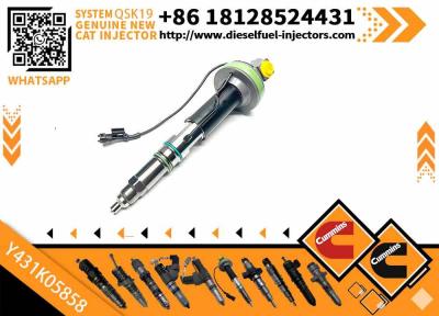 China Common Rail Fuel Injector 4380191 Y431K05858 for for sale