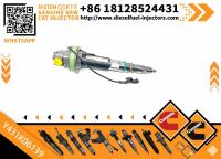 China Common Rail Fuel Injector 4380191 Y431K06139 for for sale
