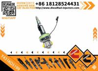 China Common Rail Fuel Injector 4380191 Y431KO5199 for for sale