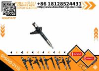 China Rail Injector 095000-0510 095000-0550 for for sale