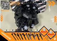 China Common Rail Pump 0445020075 0445020051 0445020208 for for sale