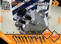 China Dachai KHD Fuel Pump 04123934 0445020526 0445020507 0445020518 0445020525 04123891 for sale