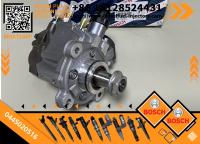 China New Common Rail Diesel Injection Pump Injector Pump 0445020508 0445020516 5801470100 for sale