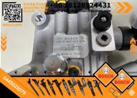 China High Pressure Pump 0445025079 931B316587 E049331000324 Diesel Fuel Injection Pump for for sale