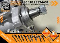 China Fuel Injection Pump 0460424125 0460424141 0460424150 New for sale