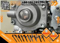 China Fuel Injection Pump 0460424125 0460424141 0460424150 New for sale