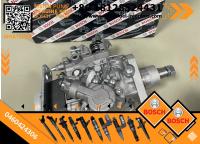 China Fuel Injection Pump 0460424304 0460424306 0460424307 New Fuel Pump Other Truck Parts for sale