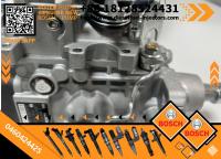 China Diesel Fuel Pump VE4/12F1100R932-2 0460424291 3957423 VE PUMP 0460424425 0460424255 0460424378 for sale