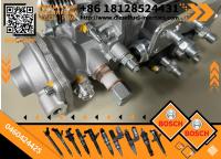 China Diesel Fuel Pump VE4/12F1100R932-2 0460424291 3957423 VE PUMP 0460424425 0460424255 0460424378 for sale