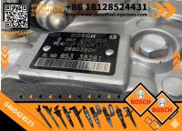 China New diesel Engine Fuel Injection Pump VE Fuel Pump 0460424523 2890390 for sale