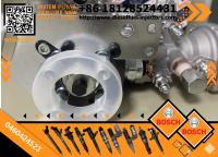 China New diesel Engine Fuel Injection Pump VE Fuel Pump 0460424523 2890390 for sale